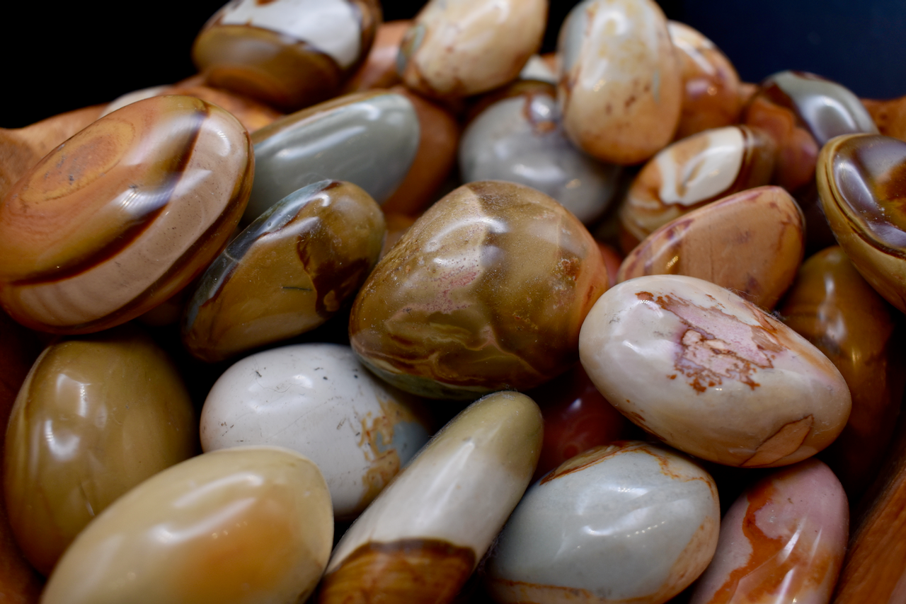 Rocks & Fossils – Mt Juneau Trading Post